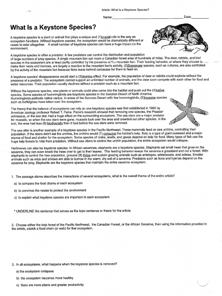 Keystone Species Worksheet | PDF