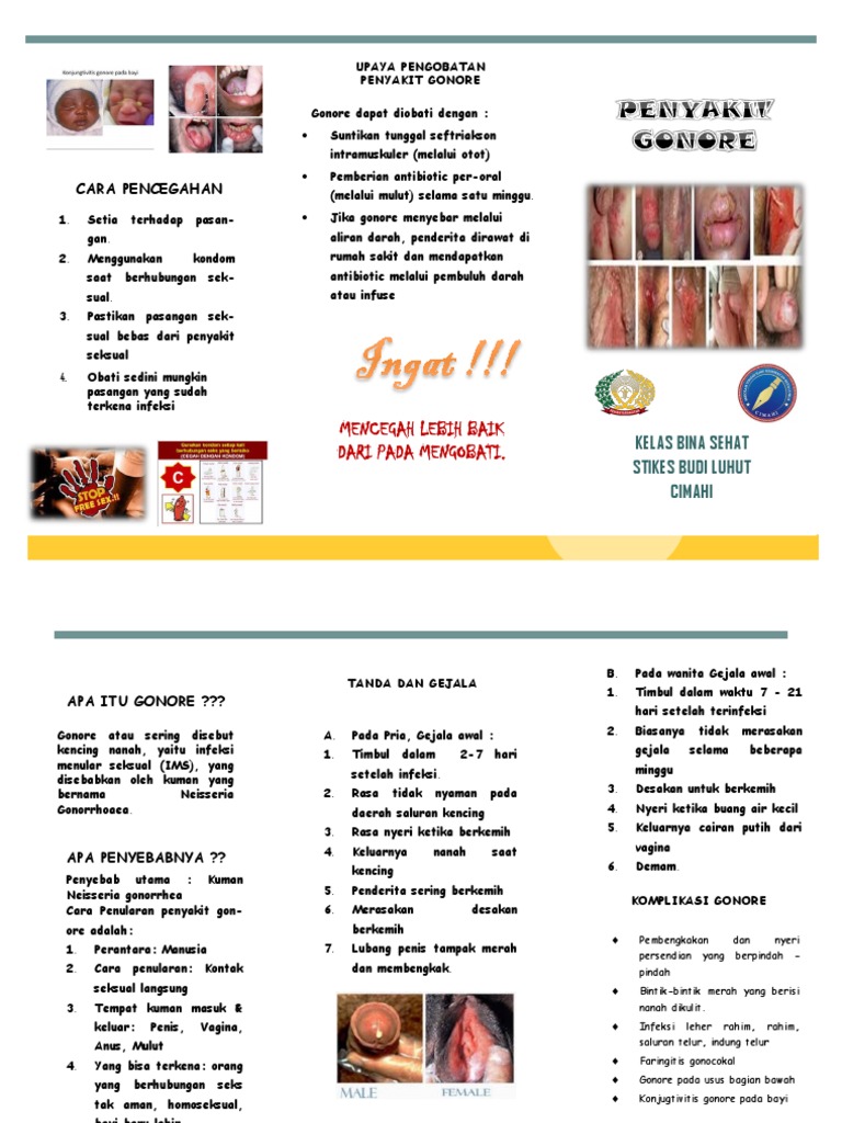 Leaplet Gonore | PDF