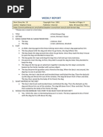 "Stray" Study Guide for Students | PDF