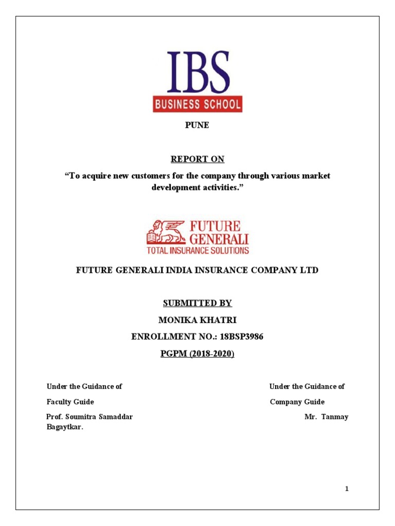 SIP - Report | PDF | Advertising | Data