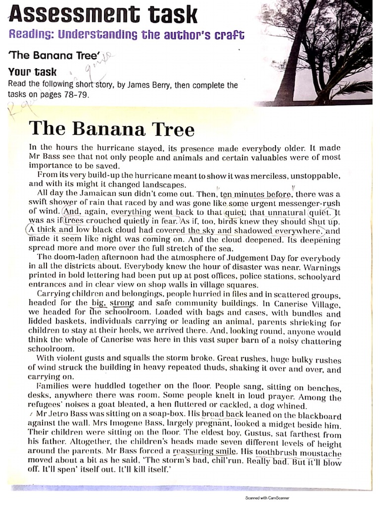The Banana Tree | PDF