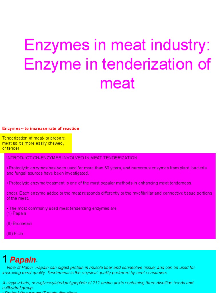 Enzymes for Meat Tenderization Explained | PDF | Wellness | Science ...