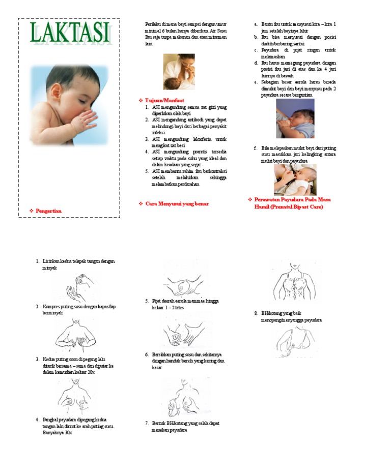 Leaflet Laktasi | PDF