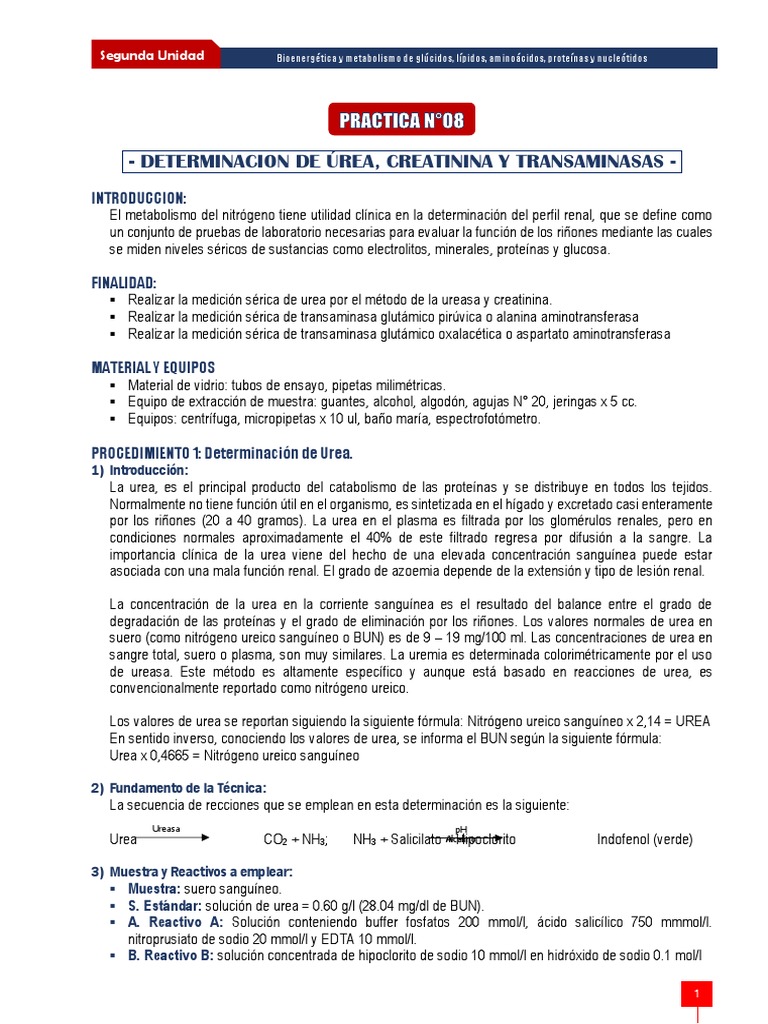 Practica 08. Determinacion de Urea Creatinina y Transaminasas | PDF ...