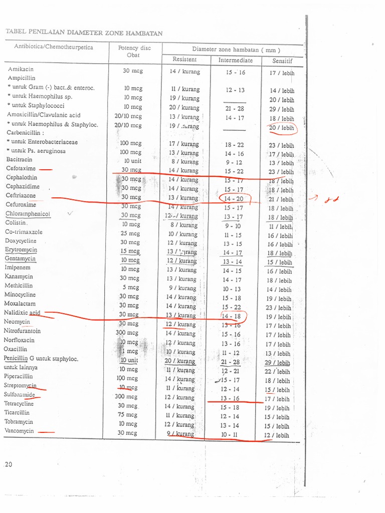 Tabel Zona Hambat - 21102020 - 113604 | PDF