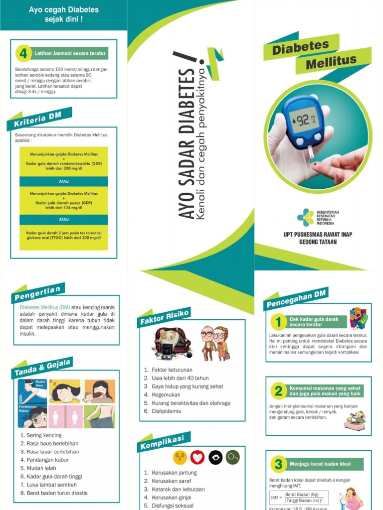 Leaflet Diabetes Melitus | PDF