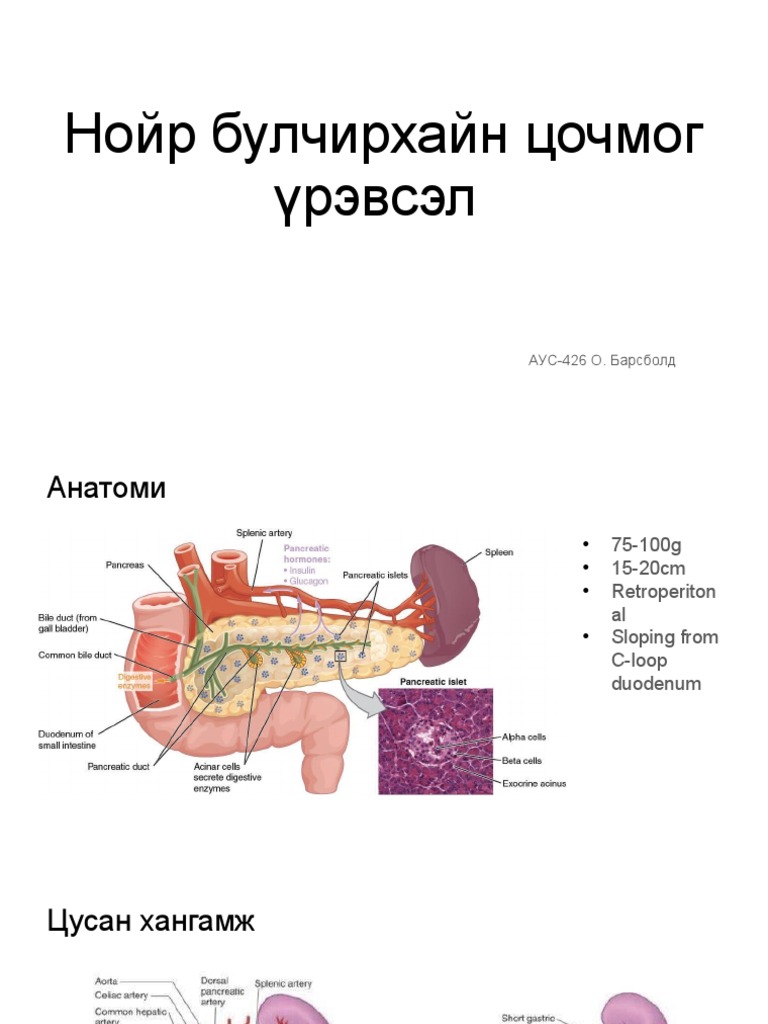 Нойр Булчирхайн Цочмог Үрэвсэл Pdf