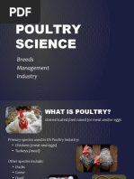 Poultry Production Lecture Notes | PDF | Poultry Farming | Chicken