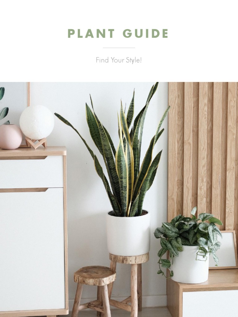 Plant Guide: Find Your Style! | PDF