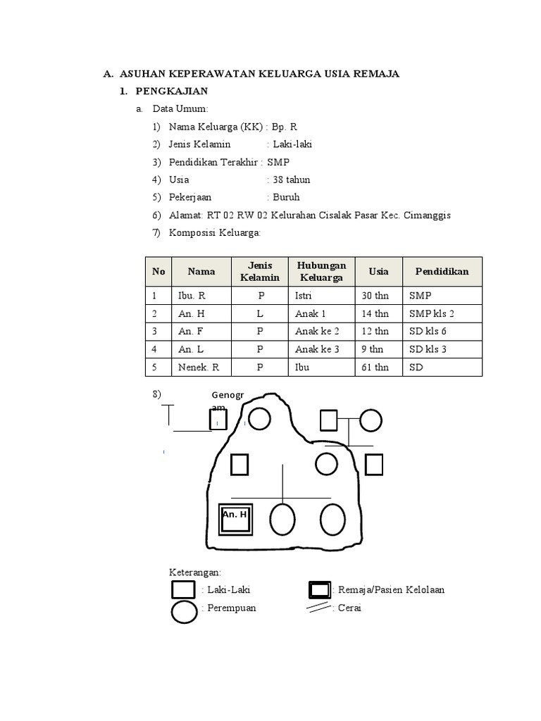 Asuhan Keperawatan Keluarga Usia Remaja | PDF