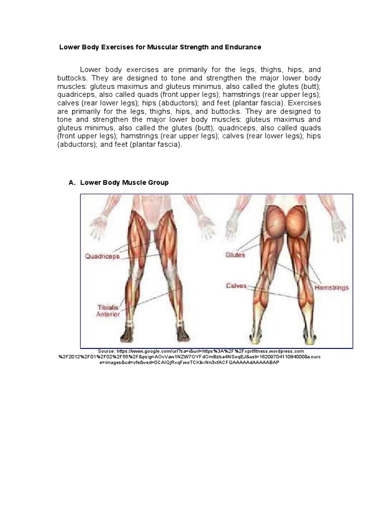 Lower Body Exercises For Muscular Strength and Endurance | PDF | Foot ...