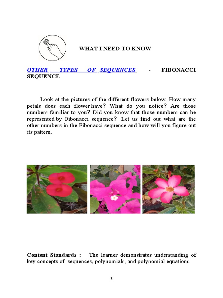 Fibonacci Sequence Flower Petals