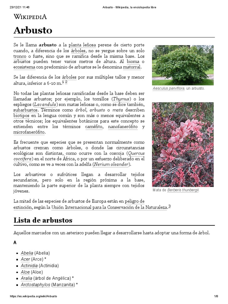 Definición y tipos de arbustos | PDF | Arbusto | Plantas