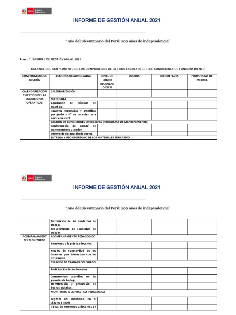 Informe de Gestion Anual | PDF
