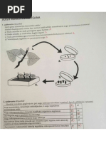 Ķīmija Šķīdības Tabūla | PDF