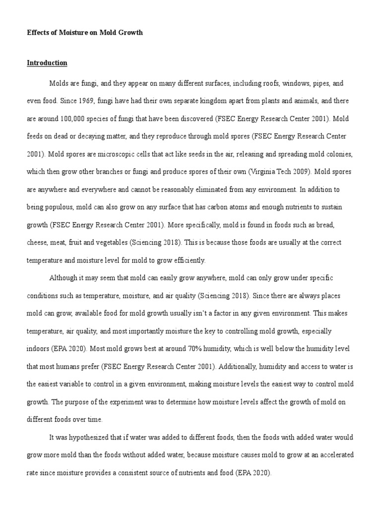 Mold Growth Lab Report | PDF | Mold | Foods