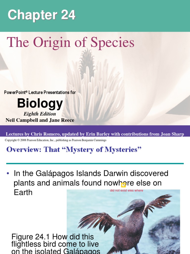 Chp. 24, Origin of Species1 | PDF | Ploidy | Evolution