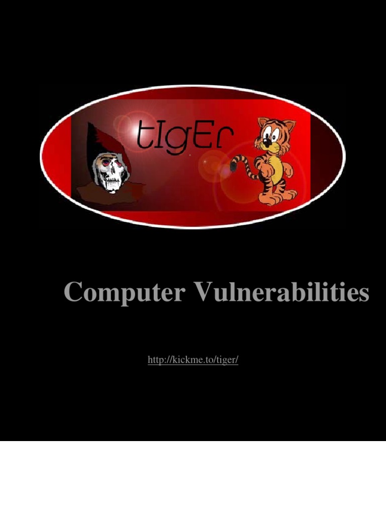 Computer Vulnerabilities | PDF | Vulnerability (Computing) | Computer Security