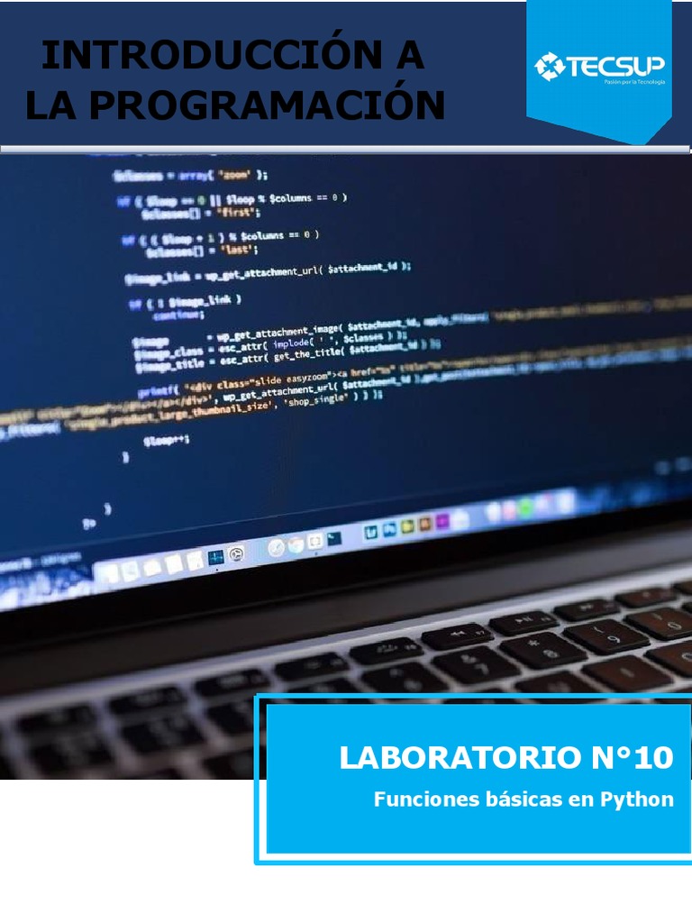Laboratorio 10 Funciones Basicas Python Pdf Programación De Computadoras Python
