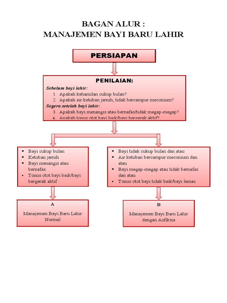 Bagan Alur Bayi Baru Lahir | PDF