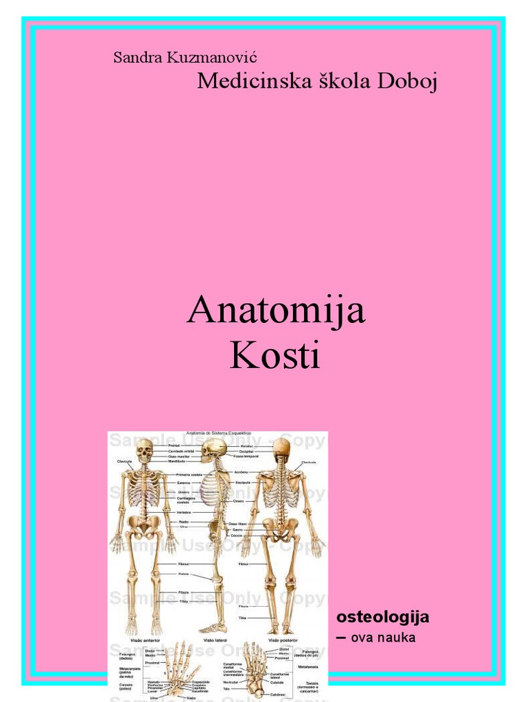 Sandra Kuzmanović - Kosti | PDF