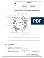 5 Second Rule Lab Write Up | PDF | Experiment | Scientific Method