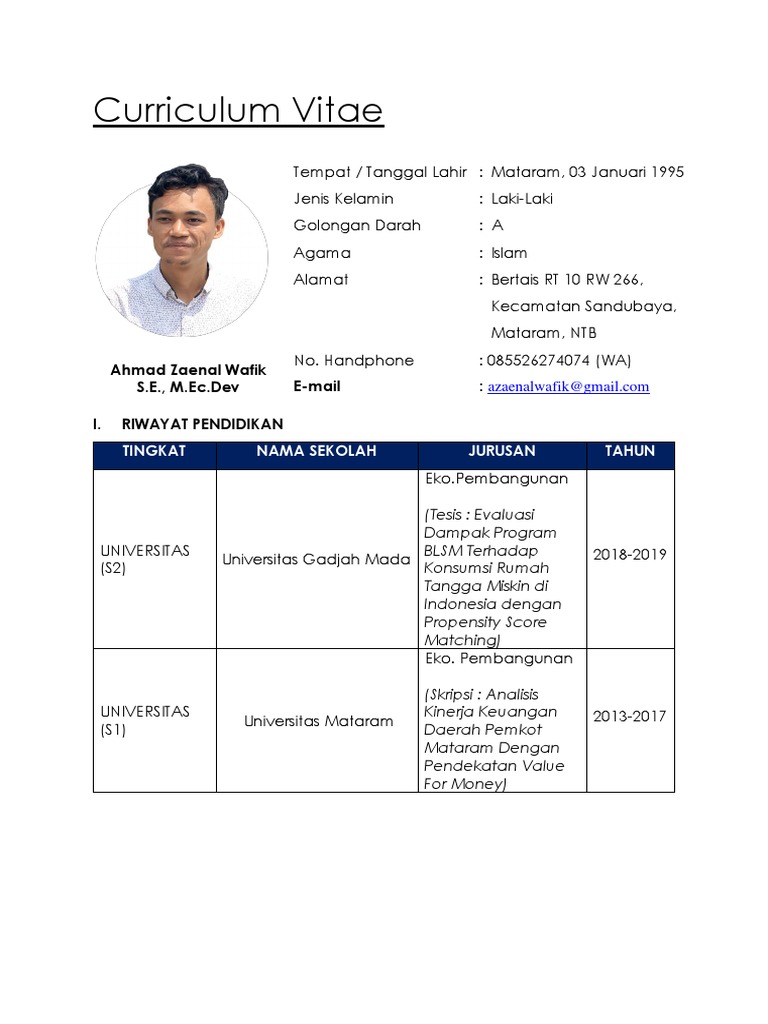 Curriculum Vitae Wafik Final Edited | PDF