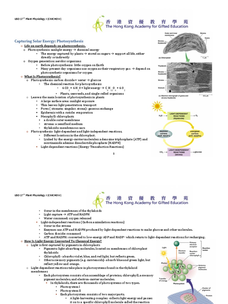 Plant Physiology Part I | PDF | Photosynthesis | Metabolism