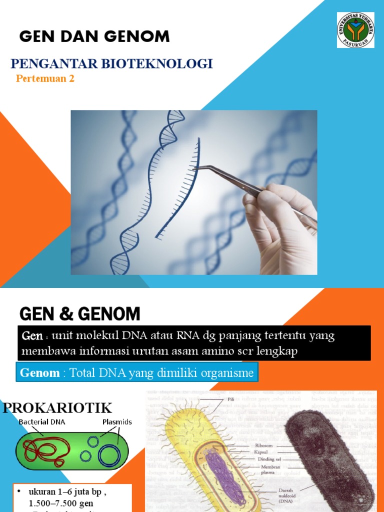 Struktur dan Fungsi Genom Prokariotik | PDF