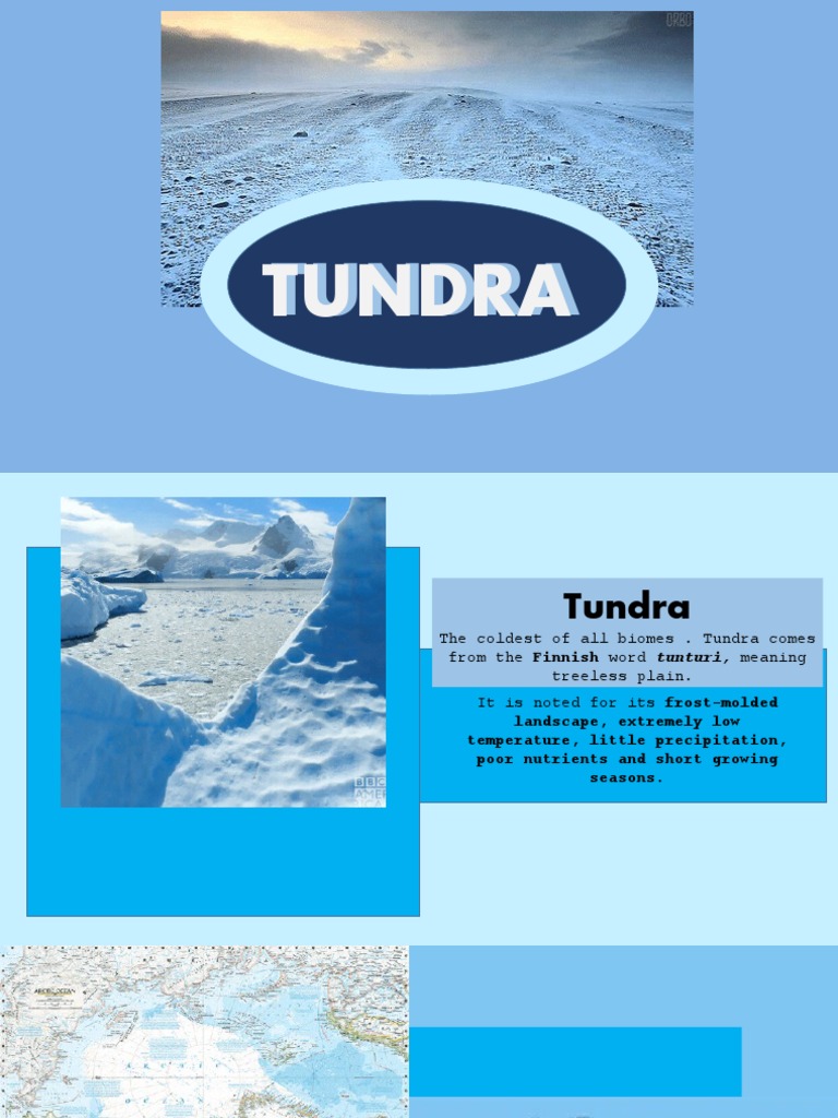 (Tundra) | PDF