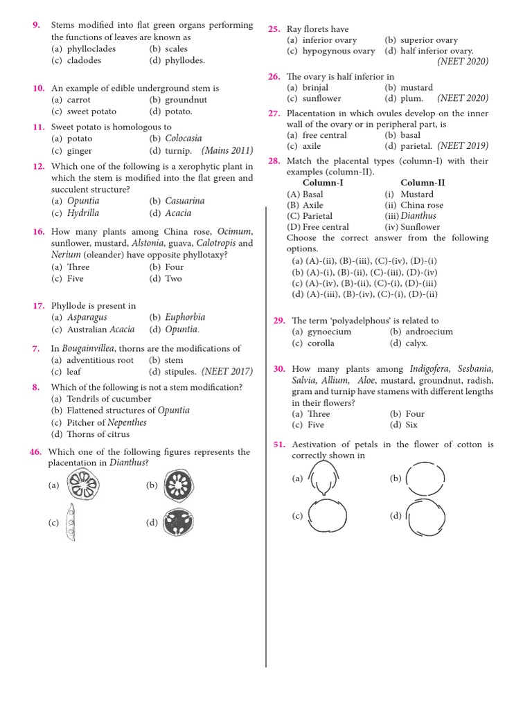 Biology PYQ-unlocked | PDF | Branches Of Botany | Plant Morphology
