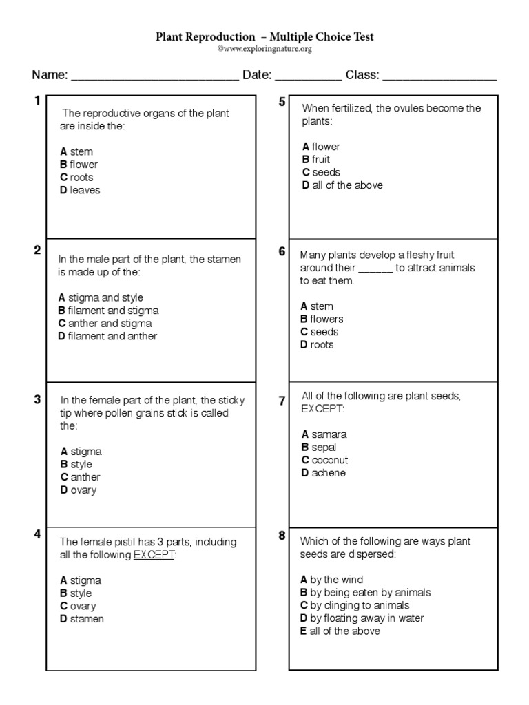 PlantReproduction MultipleChoice | PDF | Flowers | Fruit
