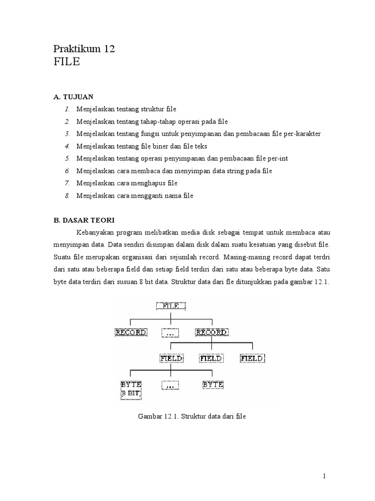 Praktikum 12 Operasi File-Dikonversi | PDF