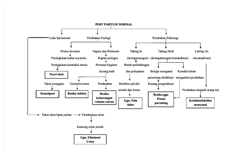 Pathway Post Partum | PDF