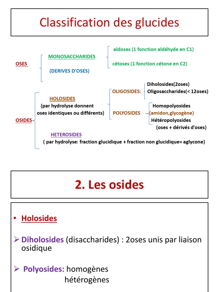 Glucides 2 | PDF