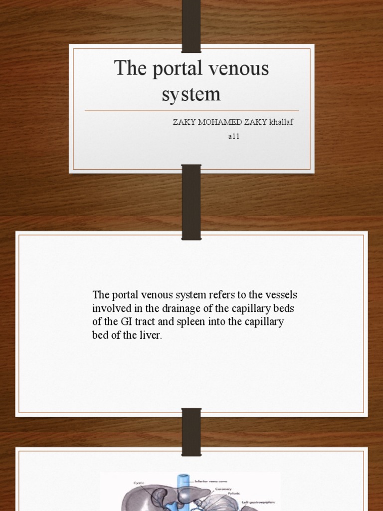 Understanding the Portal Venous System | PDF | Liver | Vein