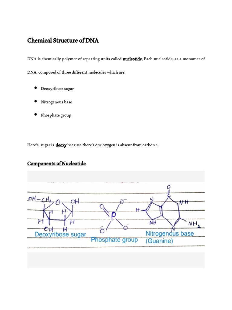 The Chemical Structure Of Dna And Its Nucleotides Diagram 3.