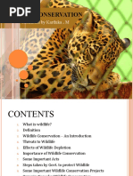 10th Icse Project Wildlife Conservation Efforts in India | PDF ...