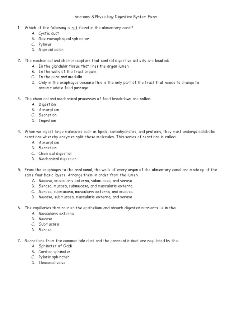 Anatomy and Physiology of the Digestive System: A Comprehensive Review ...
