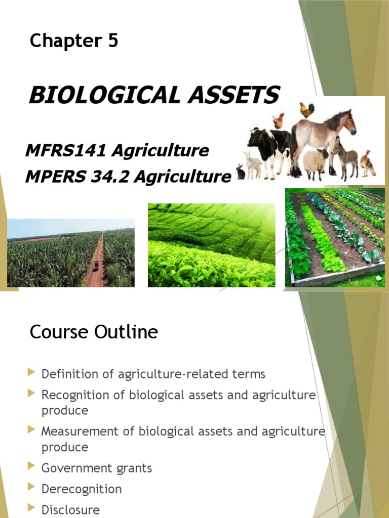 Biological Assets Accounting Guide | PDF | Fair Value | Depreciation