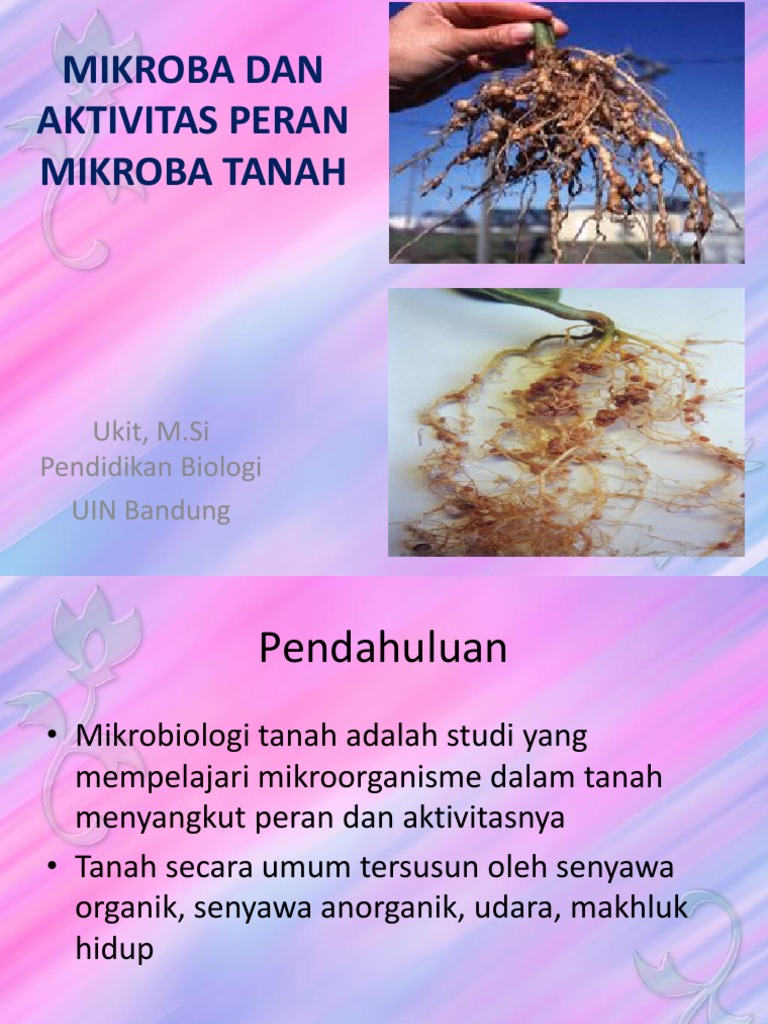 Mikroba Dan Aktivitas Mikroba Tanah | PDF