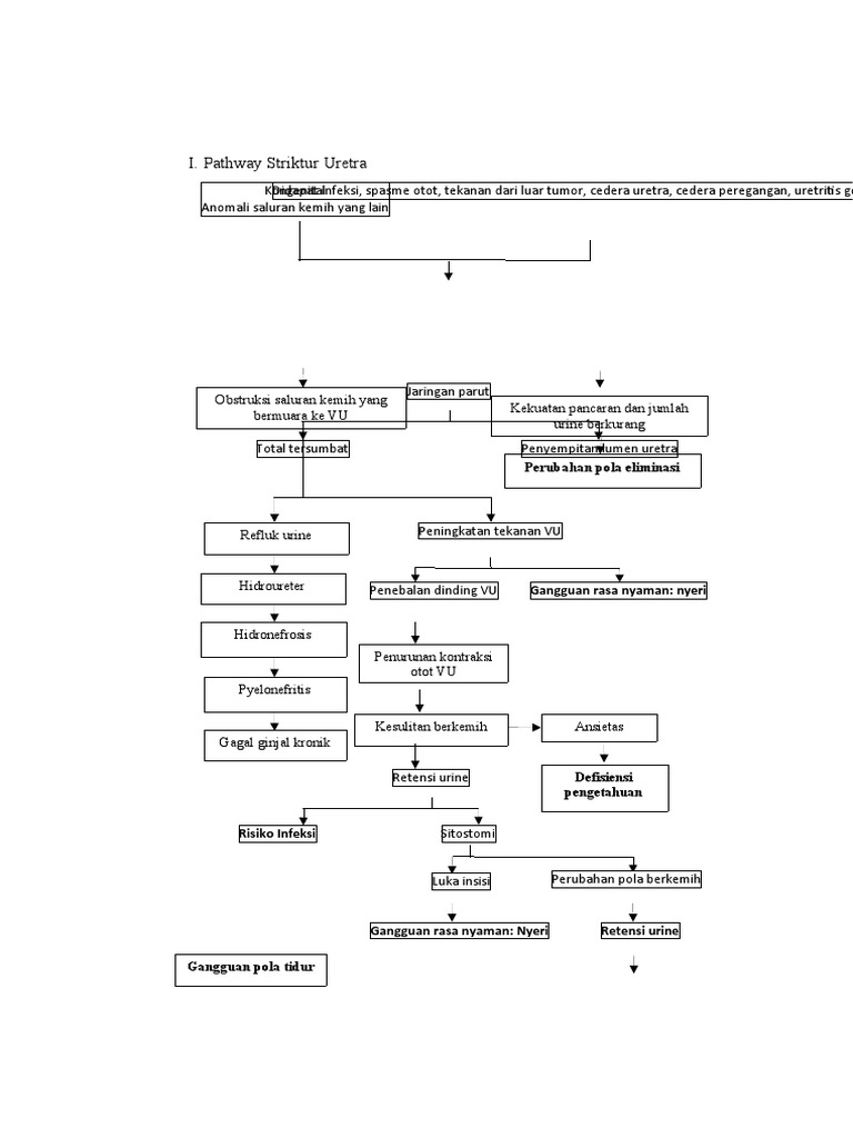 Pathway Striktur Uretra | PDF