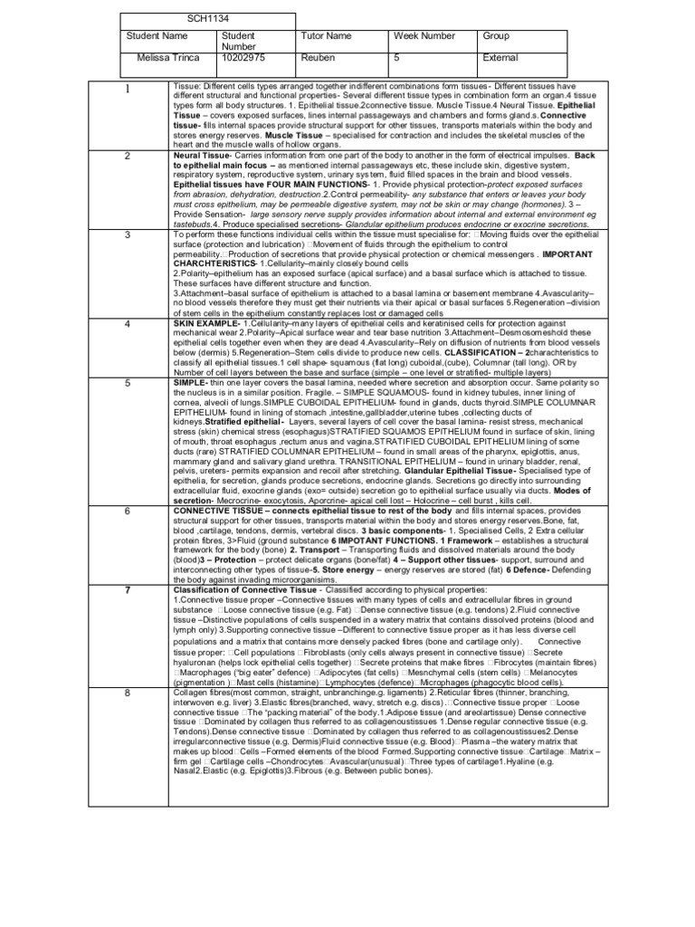 Worksheet 5 Epitheliel Connective | Download Free PDF | Epithelium ...