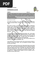 Exames de Portugues CAPLE-UL A2-B1-B2 | PDF