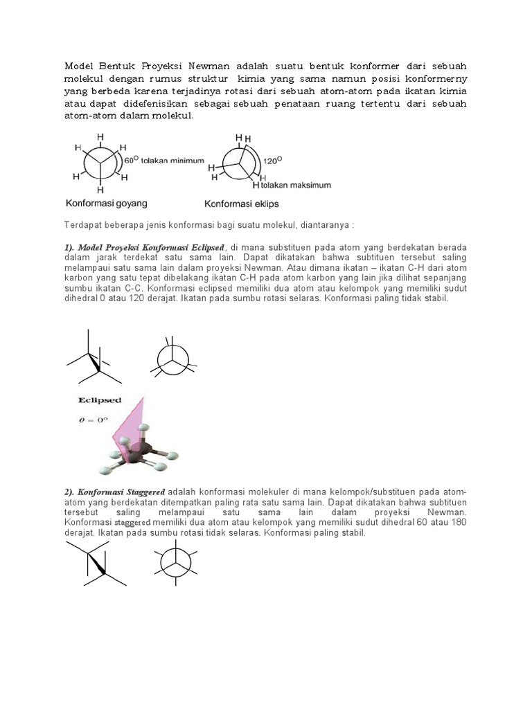 Model Bentuk Proyeksi Newman | PDF