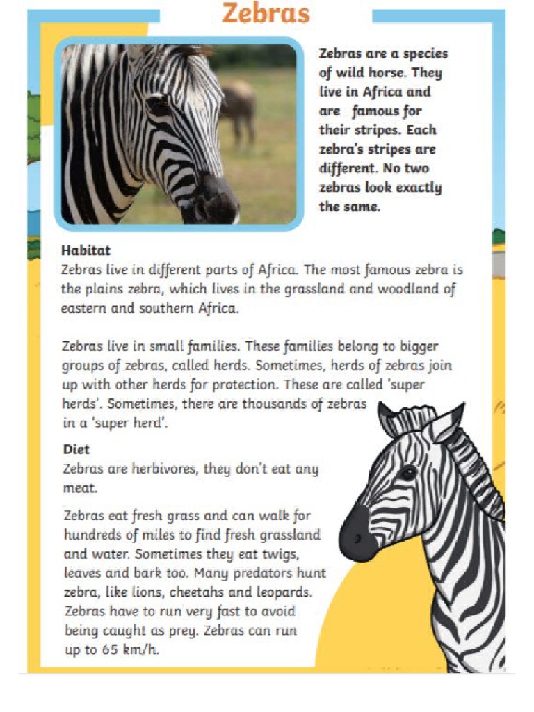 Non-Chronological Report - Year2 | PDF | Tiger | Elephant