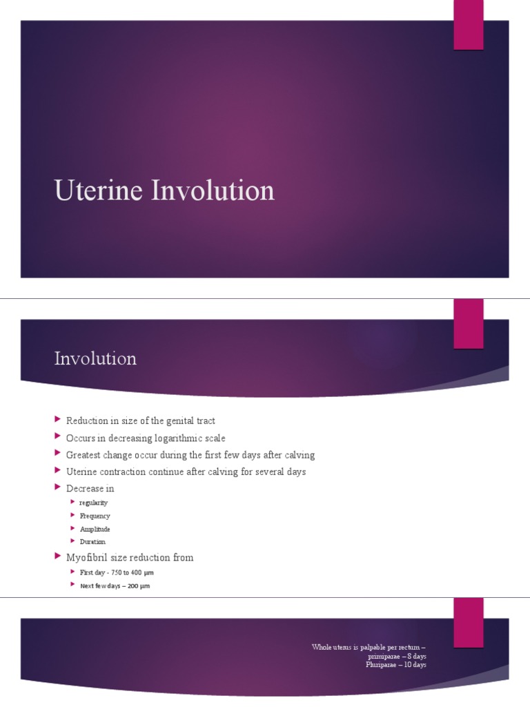 Uterine Involution | PDF | Luteinizing Hormone | Uterus