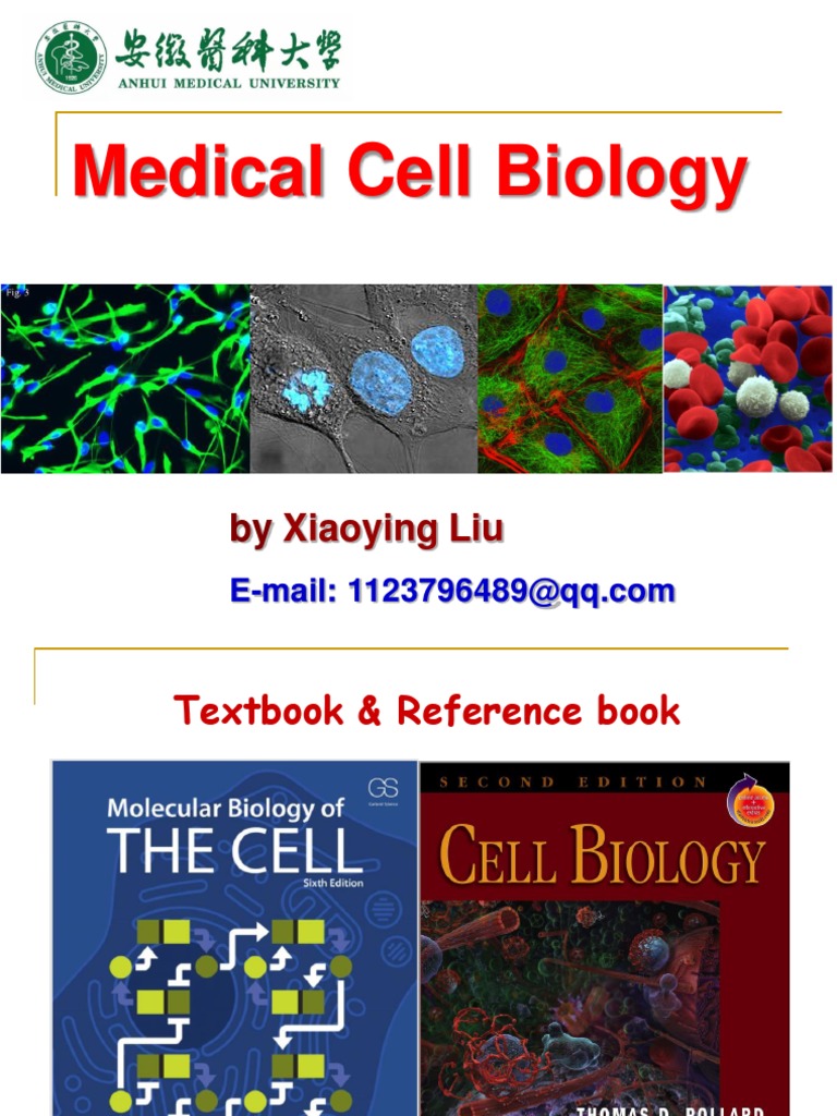 Medical Cell Biology: Xiaoying Liu | PDF | Cell (Biology) | Cell Biology