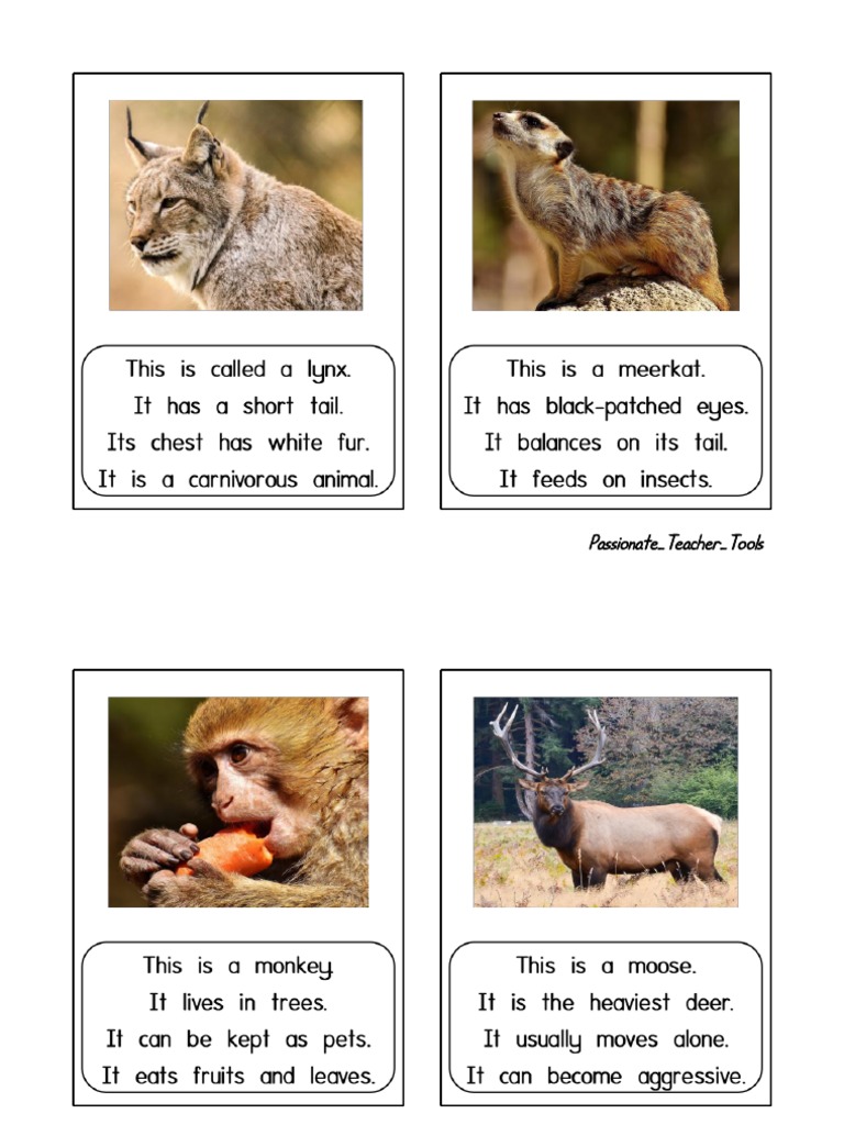 Wild Animals Reading Cards 2 | PDF | Career & Growth | Self-Improvement