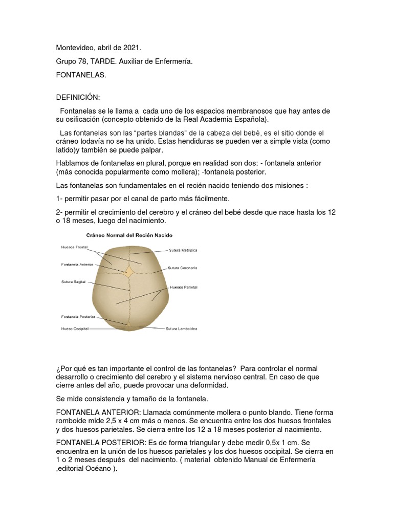 Fontanelas | PDF | Medicina CLINICA | Especialidades Medicas